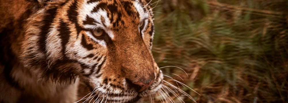 Campus Reform the #1 Source for College News