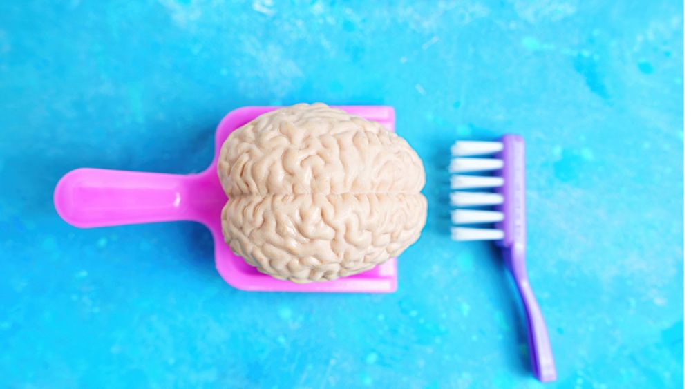 Campus Reform the #1 Source for College News