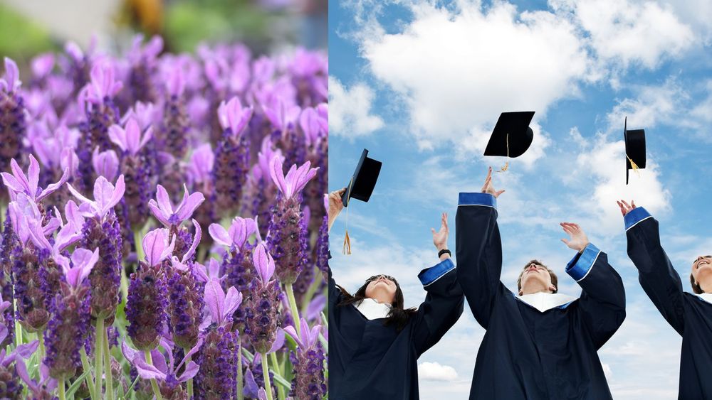 Campus Reform the #1 Source for College News