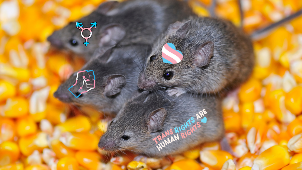 Campus Reform the #1 Source for College News