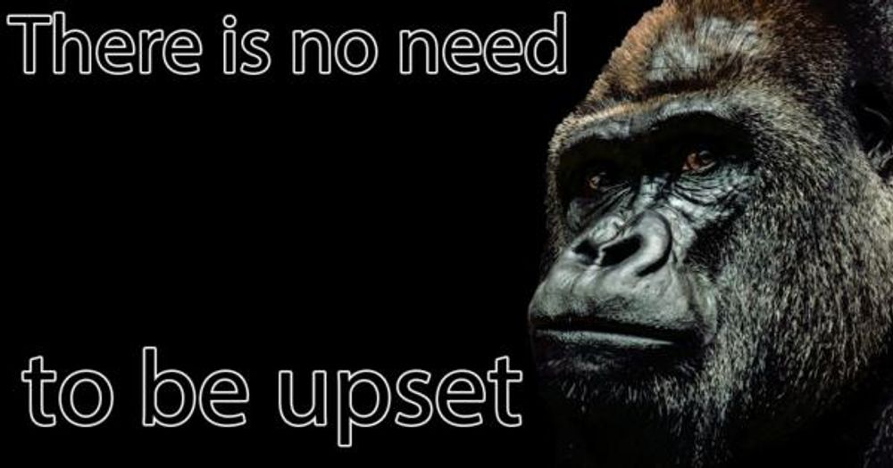 Campus Reform the #1 Source for College News